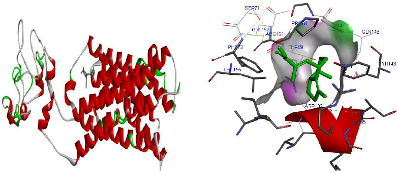 Network Biology Approaches to Identify the Drug Lead Molecule for ...